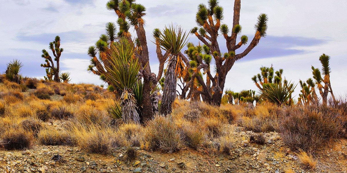 Top Famous 8 National Parks In Egypt - Egypt Tours Portal